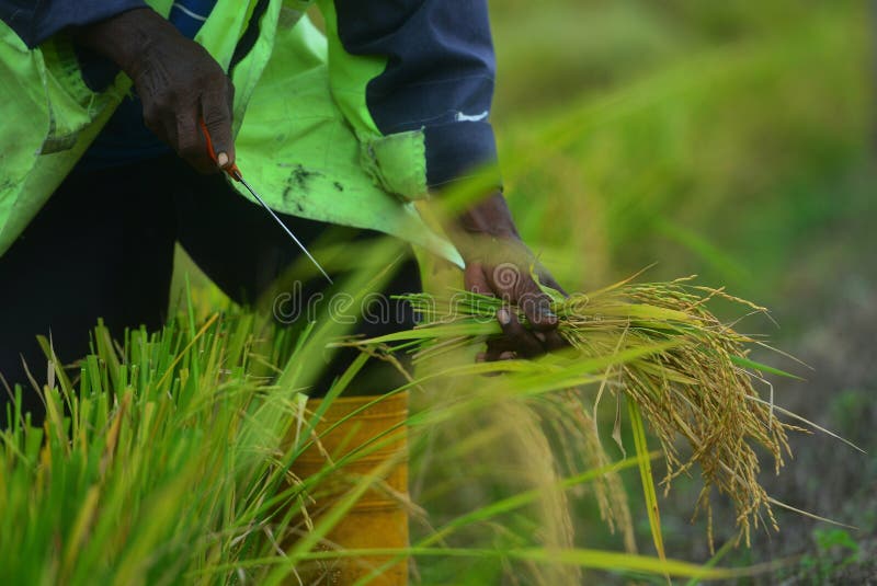 Objects and outdoors stock photo. Image of concept, environment - 320558998