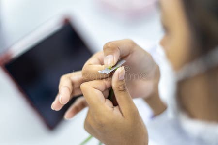 Manual Dissection of Plant Tissue Samples for Study. Stock Photo ...