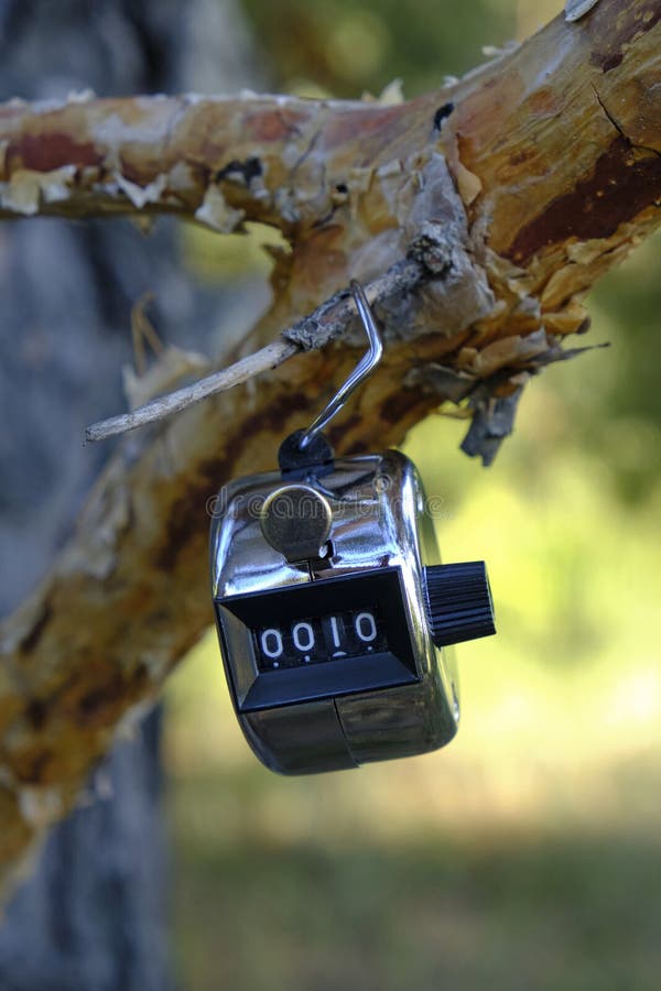 Manual Mechanical Counter on the Branch. Stock Image - Image of counter ...