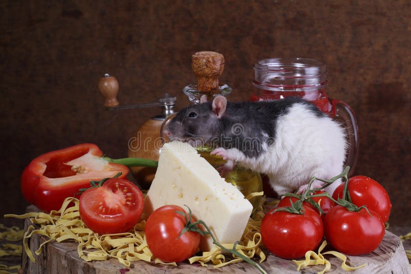 161 Mouse Nibbles Stock Photos - Free & Royalty-Free Stock Photos from ...