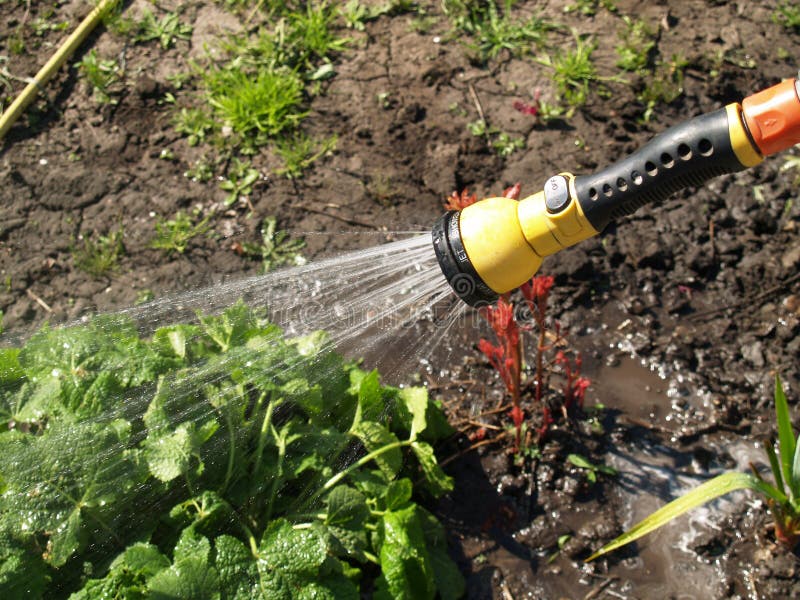 Manual watering stock image. Image of earth, watering - 94880805
