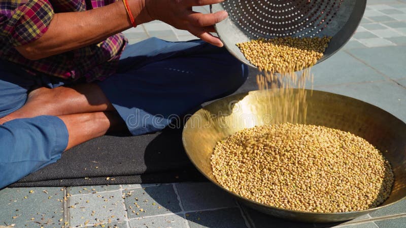 Manual Wheat Grain Cleaning: Using Stainer or Channi - Uttarakhand ...