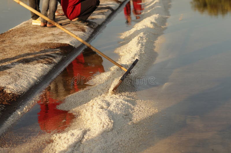 Manufacture of Coarse Salt from the Sea in Indonesia Stock Image ...