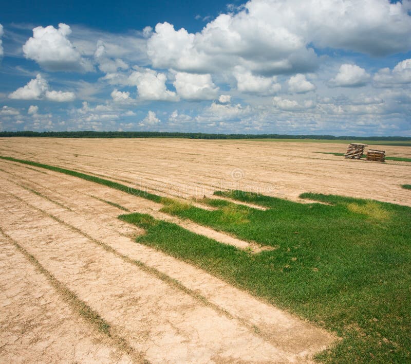 Manufacture of grass plot stock photo. Image of growth - 20540446