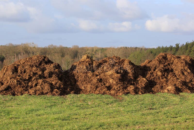Manure for agriculture stock photo. Image of agricultural - 35887790