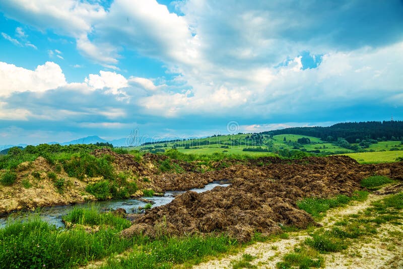 Manure in the Beautiful Nature Stock Image - Image of flower, field ...