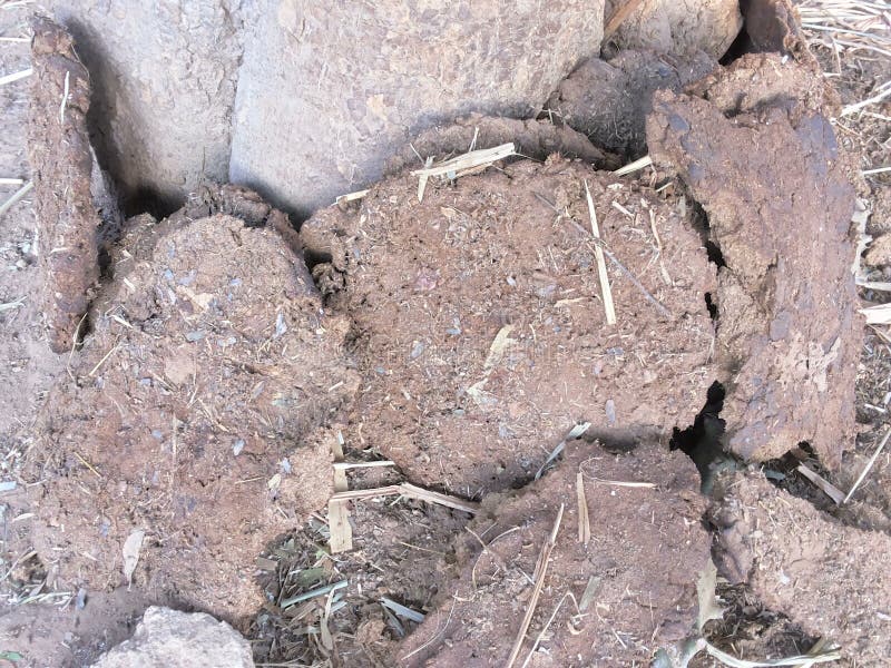 Manure composting stock photo. Image of droppings, dirty - 65510270