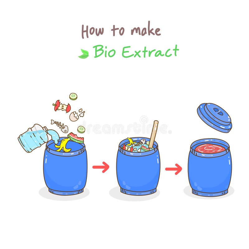 Bio Fermented Stock Illustrations – 304 Bio Fermented Stock ...