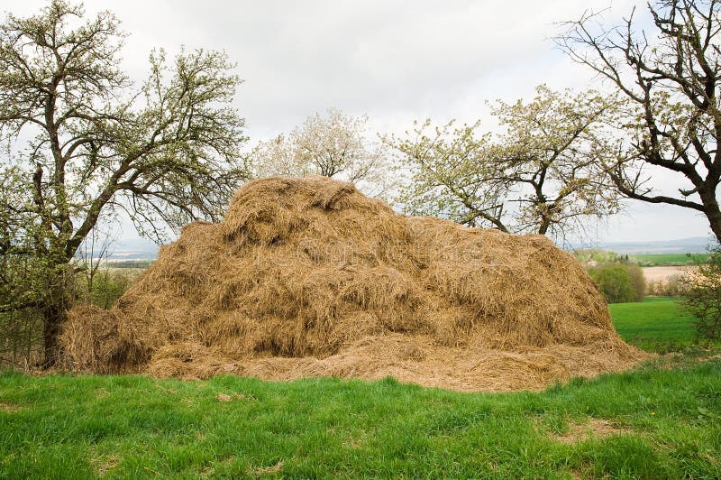 Cow manure heap stock photo. Image of northend, ranch - 2065806