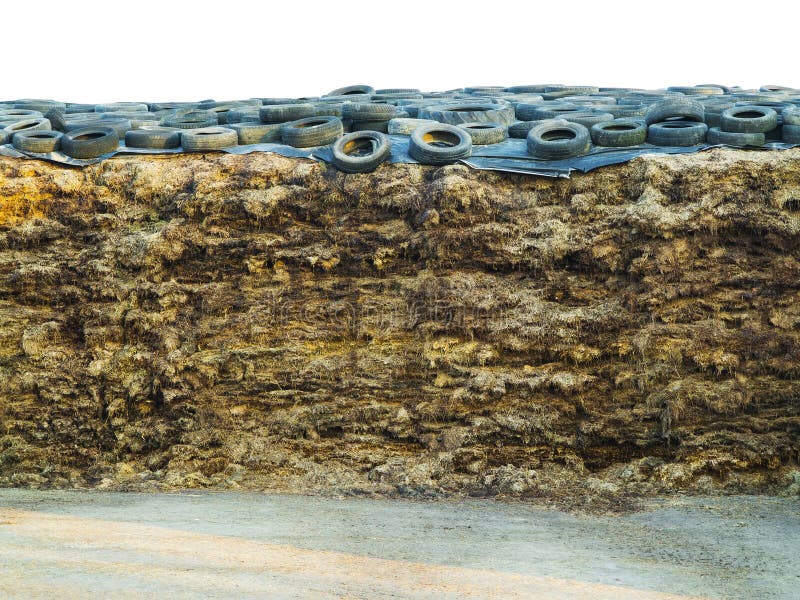 Manure heap stock image. Image of heap, dunghill, stink - 58425279