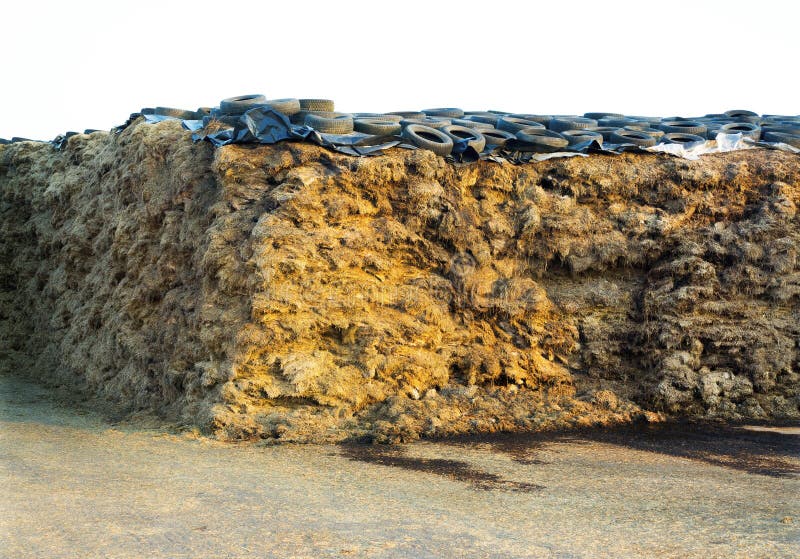 Manure heap stock image. Image of harvest, covered, heap - 1597971