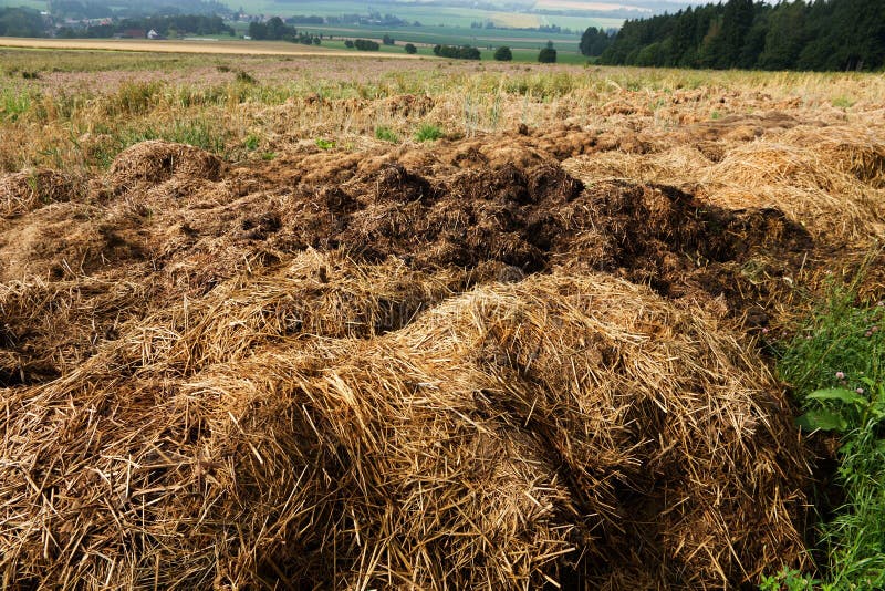 Cow manure heap stock photo. Image of northend, ranch - 2065806