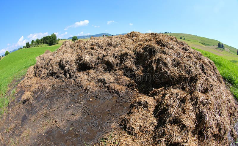 Manure Pile for Natural Fertilization of Mountain Fields Stock Image ...