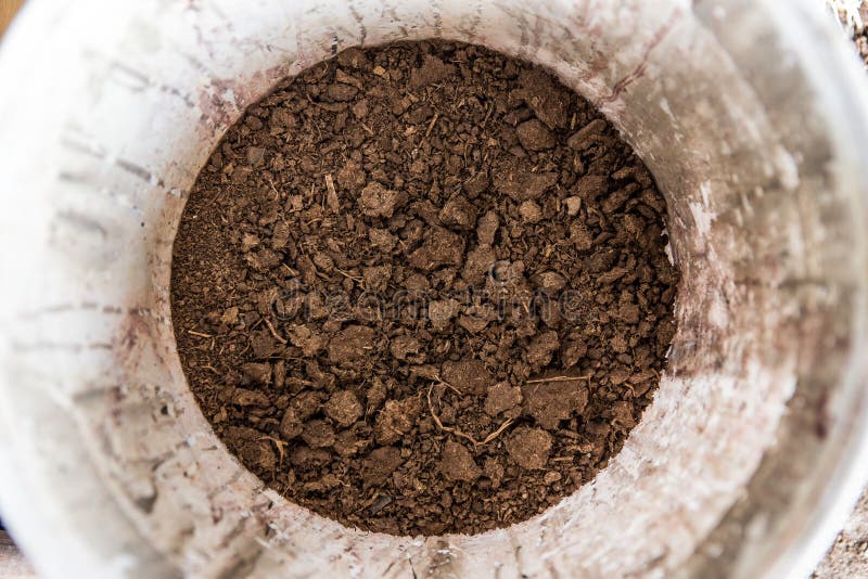 Manure for planting stock photo. Image of farmer, macro - 127942594