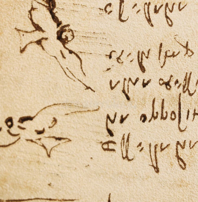Manuscript, Drawings, Birds Flight by Leonardo Da Vinci in the Old Book ...