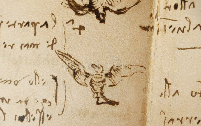 Manuscript, Drawings, Birds Flight by Leonardo Da Vinci in the Old Book ...