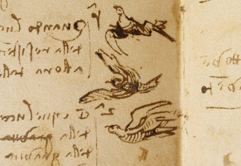 Manuscript, Drawings, Birds Flight by Leonardo Da Vinci in the Old Book ...