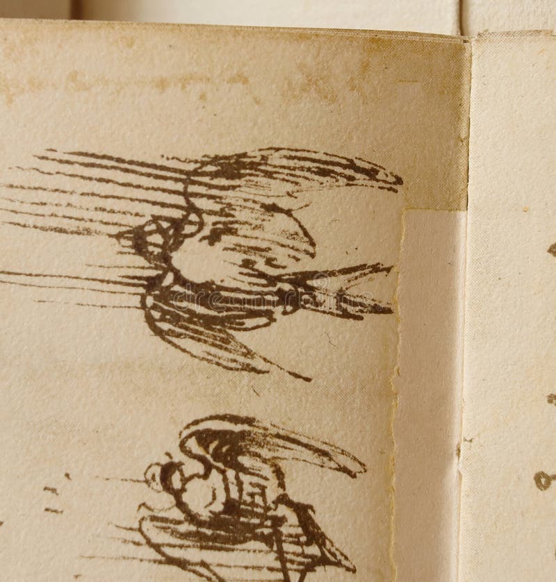 Manuscript, Drawings, Birds Flight by Leonardo Da Vinci in the Old Book ...