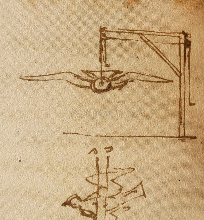 Manuscript, Drawings, Birds by Leonardo Da Vinci in the Old Book the ...