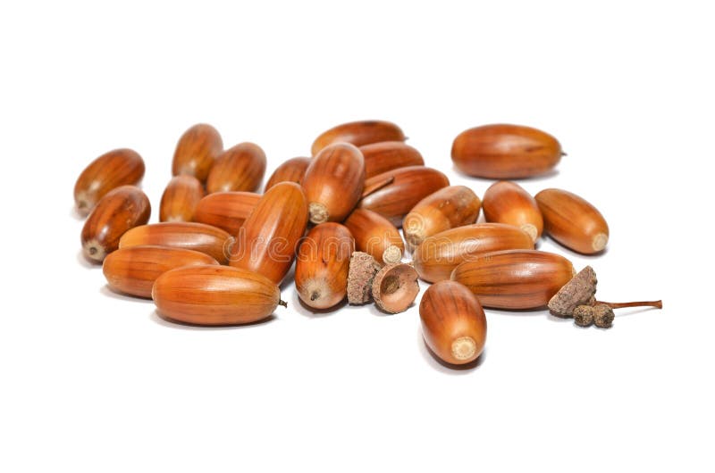 Pebbles stock image. Image of grey, brown, minerals, highlands - 20896463