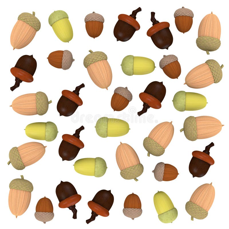 Many acorns stock illustration. Illustration of food - 23823868