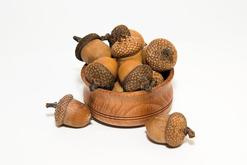 Many Acorns in a Wooden Container on a White Stock Photo - Image of ...