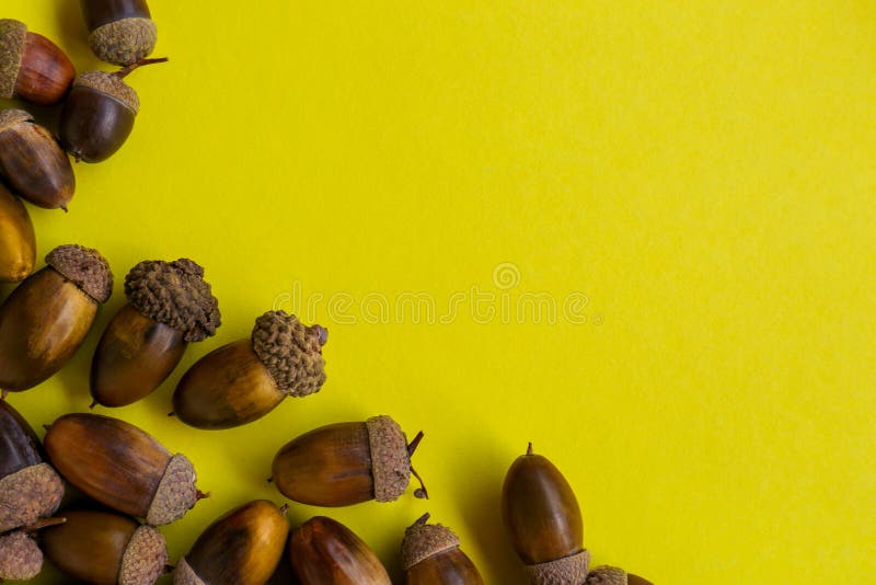 Many Acorns on Yellow Background, Top View. Space for Text Stock Photo ...