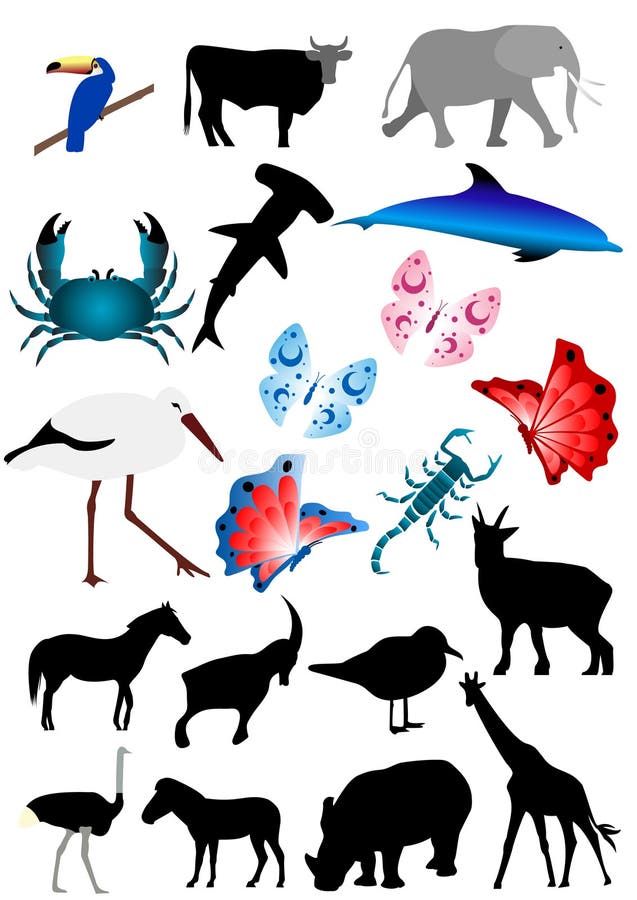 Many animals stock vector. Illustration of vector, giraffe - 5432434