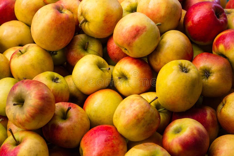 Many Apples - Apple Fruit Background Stock Image - Image of food ...