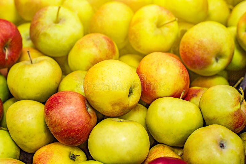 Many Apples on the Store Counter Stock Image - Image of harvest ...