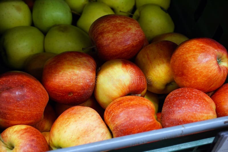 Many Apples on the Store Counter Stock Photo - Image of diet, autumn ...