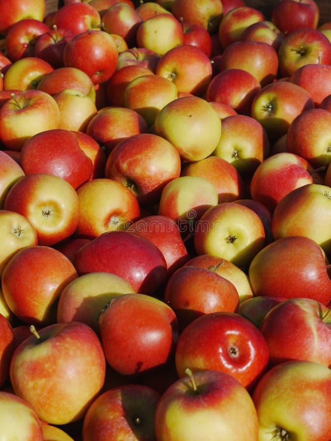 Many Apples in Wooden Boxes Stock Photo - Image of horizontal, heap ...