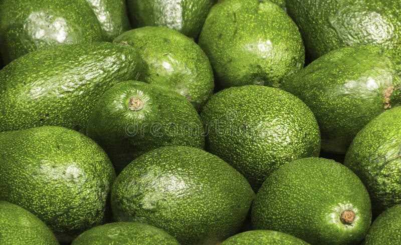 Avocado stock image. Image of pile, groceries, closeup - 52513979