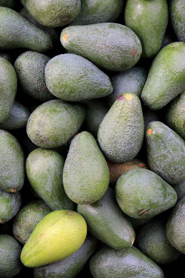 6,830 Avocado Texture Photos - Free & Royalty-Free Stock Photos from ...