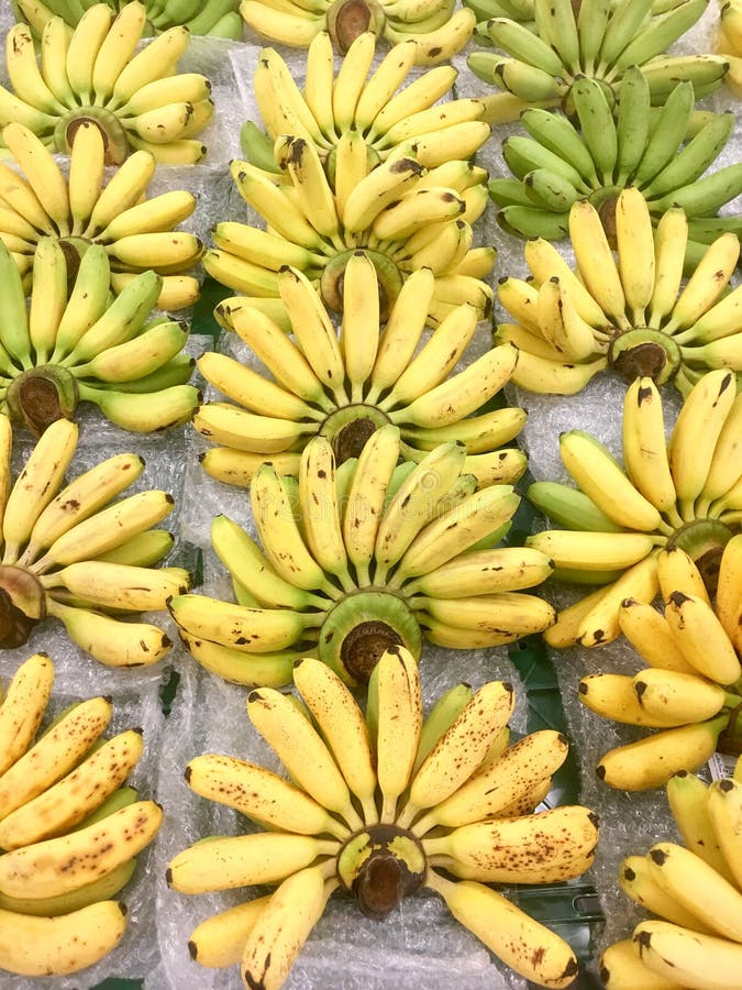 Many Banana Comb,Closeup of a Bundle of Bananas in Natural Light Stock ...