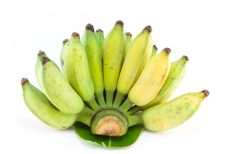 Many Banana Comb,Closeup of a Bundle of Bananas in Natural Light Stock ...