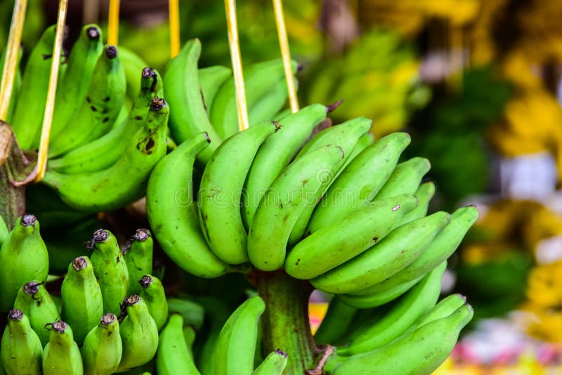 Many banana comb stock image. Image of food, nutrient - 58611483