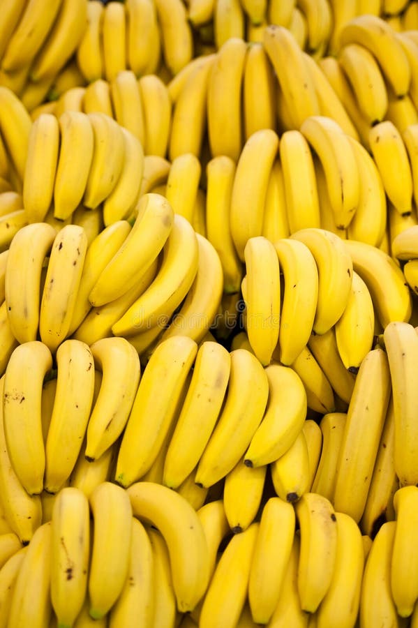 Many Bananas stock image. Image of mature, grocer, market - 17529197