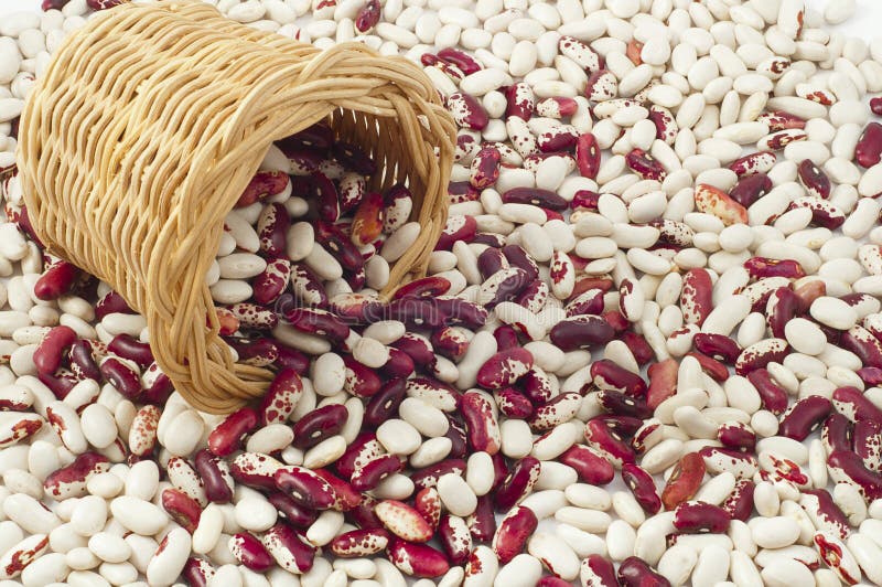 Many beans stock photo. Image of product, beans, cooking - 43009610