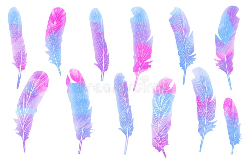 Many Beautiful Feather on White Background, Illustration Stock ...