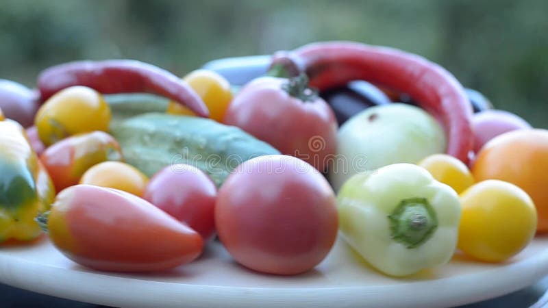 Many Beautiful Ripe Vegetables, Turn in a Circle Stock Video - Video of ...