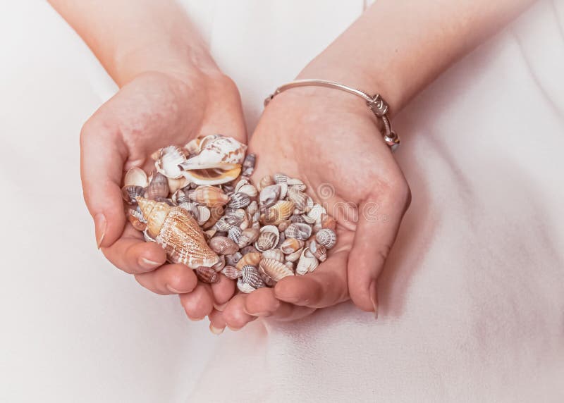 Many Beautiful Seashells in the Hands of the Girl Stock Photo - Image ...