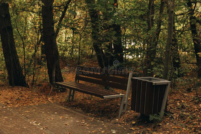 Many Beautiful Trees, Bench and Pathway in Autumn Park Stock Image ...