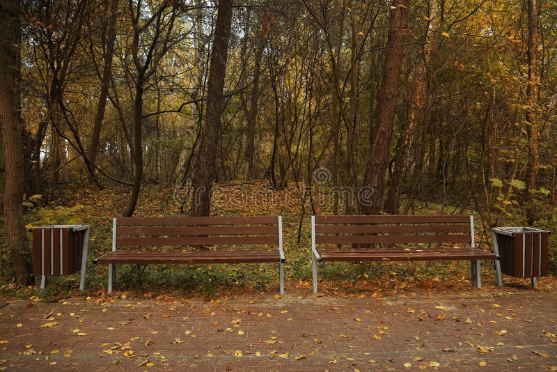Many Beautiful Trees, Benches and Pathway in Autumn Park Stock Photo ...
