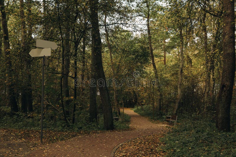 Many Beautiful Trees and Pathway in Autumn Park Stock Photo - Image of ...