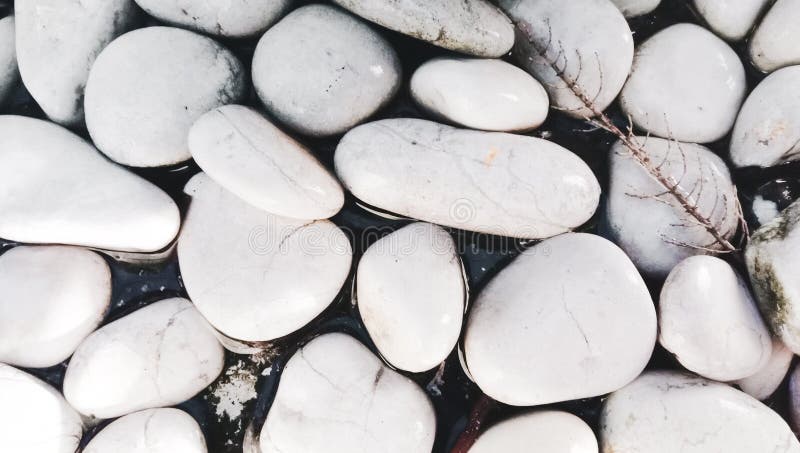 Many of Beautiful White Rocks Stock Image - Image of soil, flower ...