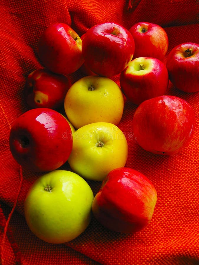 Many Beautiful Yellow and Red Apples on Orange Stock Image - Image of ...