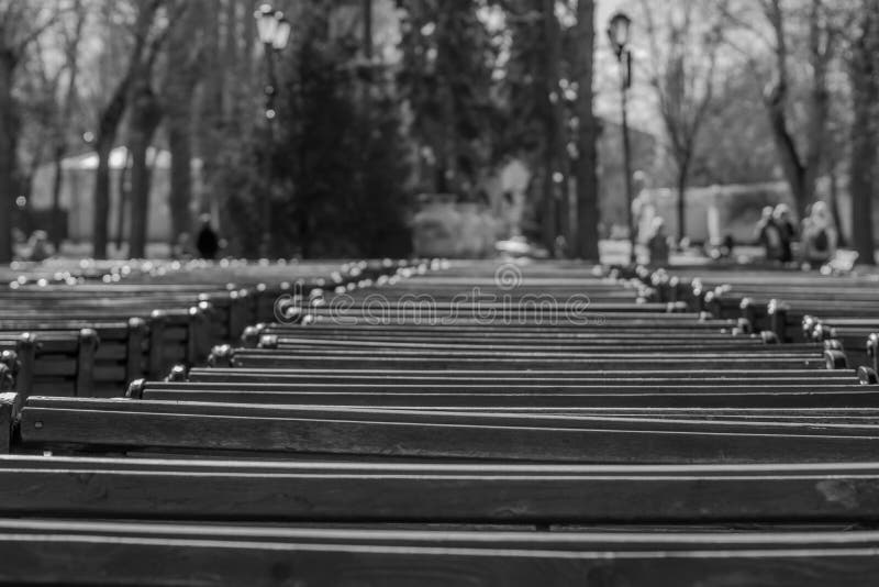 Many benches in line stock image. Image of architecture - 113356995