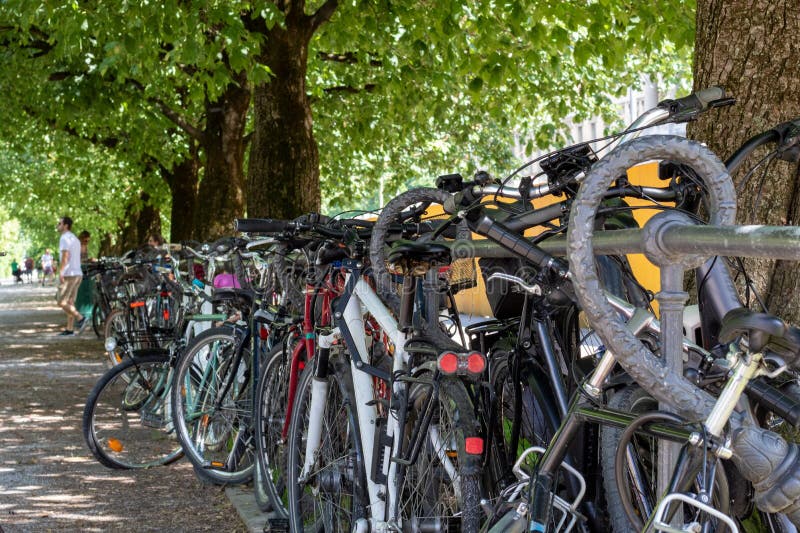 Many bicycles in a park stock image. Image of life, biking - 117476631