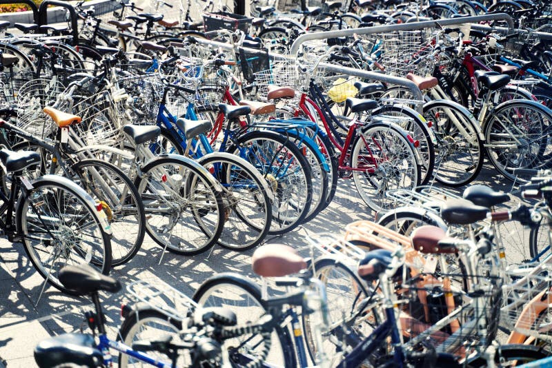 Many Bikes in the Park in the Middle of the Sun Stock Photo - Image of ...